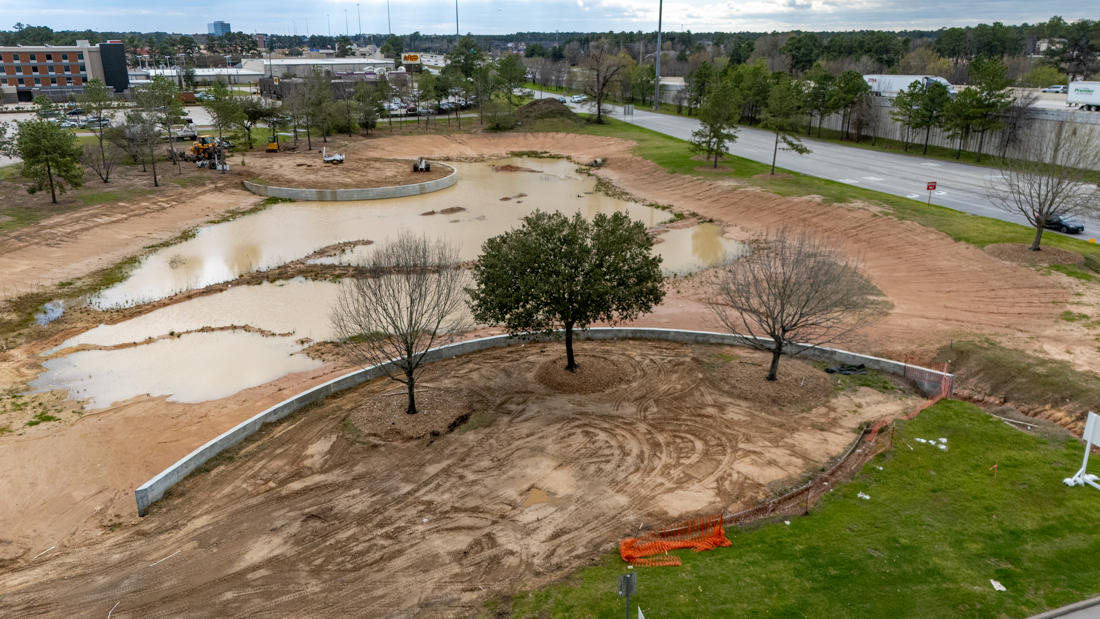 Transplantation of More Northpark Trees - Reduce Flooding