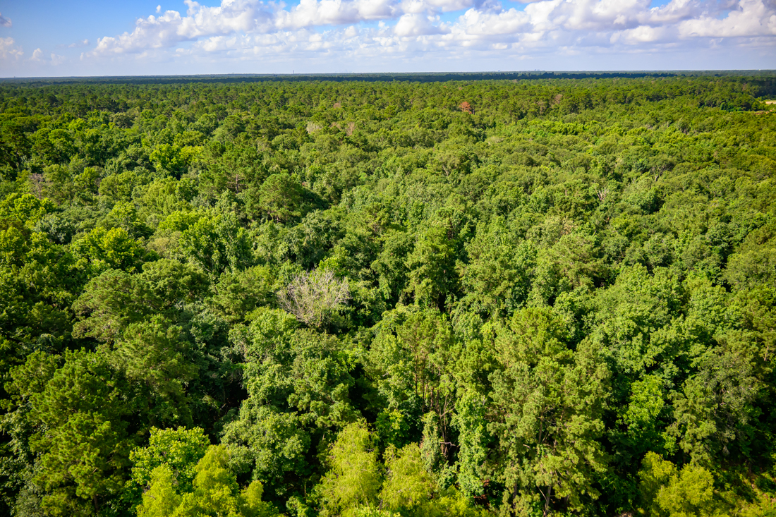 The Wilderness Among Us - Reduce Flooding